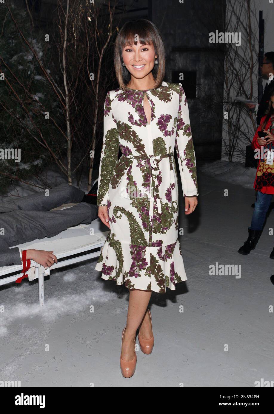 CNN National Correspondent Alina Cho is seen at the Fall 2013 Thom ...