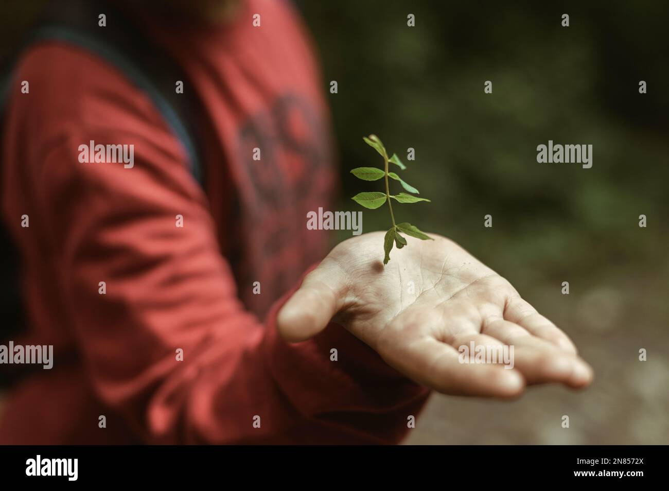 Little girl's hand making magic with nature Stock Photo - Alamy