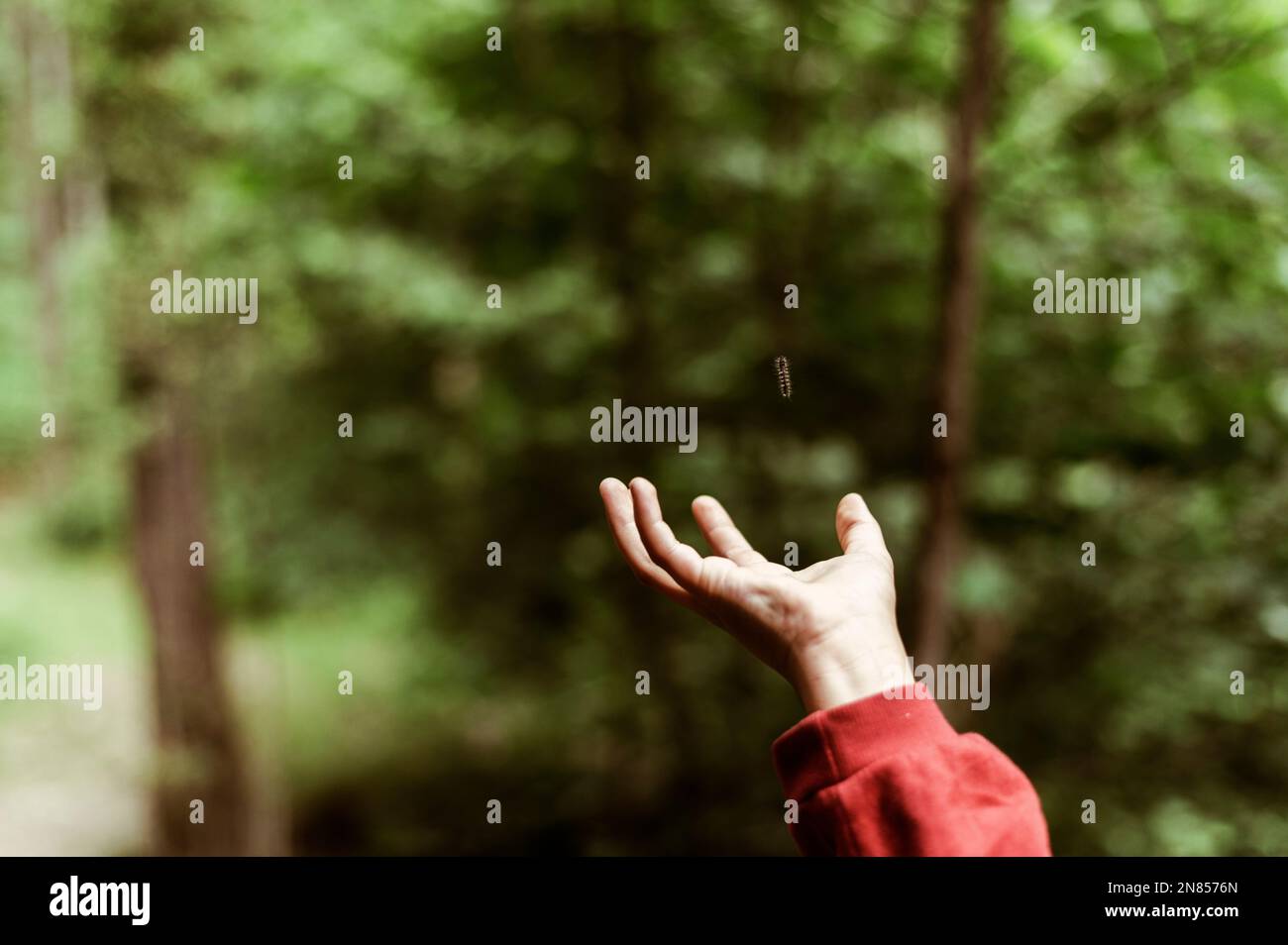 Little girl's hand making magic with nature Stock Photo - Alamy