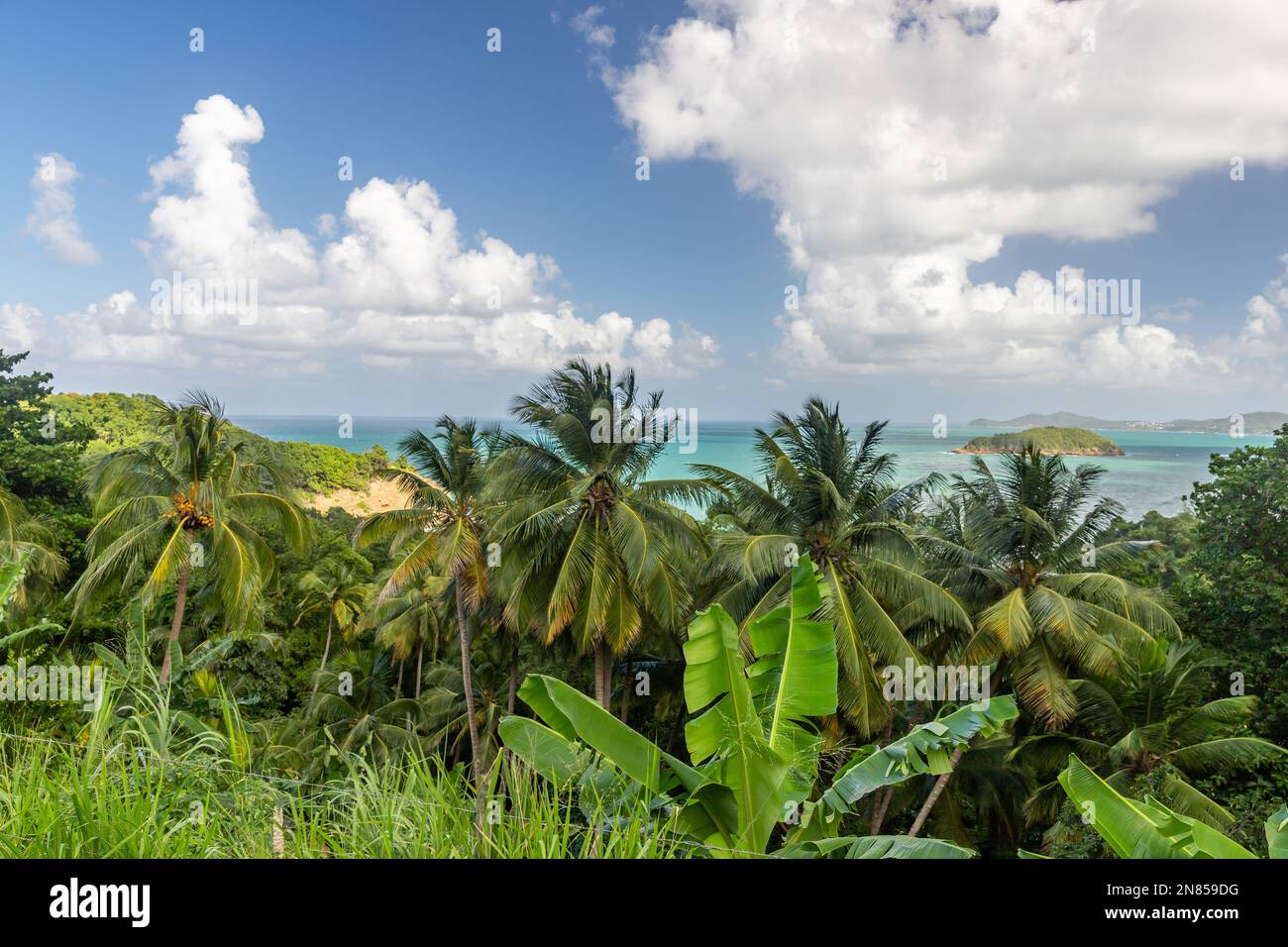View across the bay in Martinique, France Stock Photo - Alamy