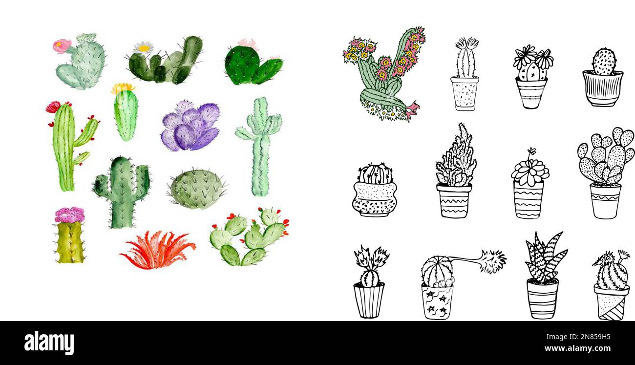 vector hand drawn cacti in a circle Stock Vector Image & Art - Alamy