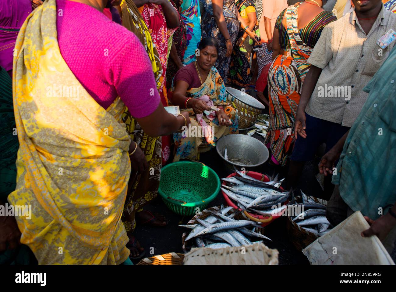 Indian fishing community hi-res stock photography and images - Alamy