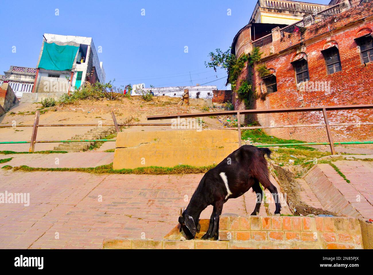 Varanasi ghats stairs hi-res stock photography and images - Alamy