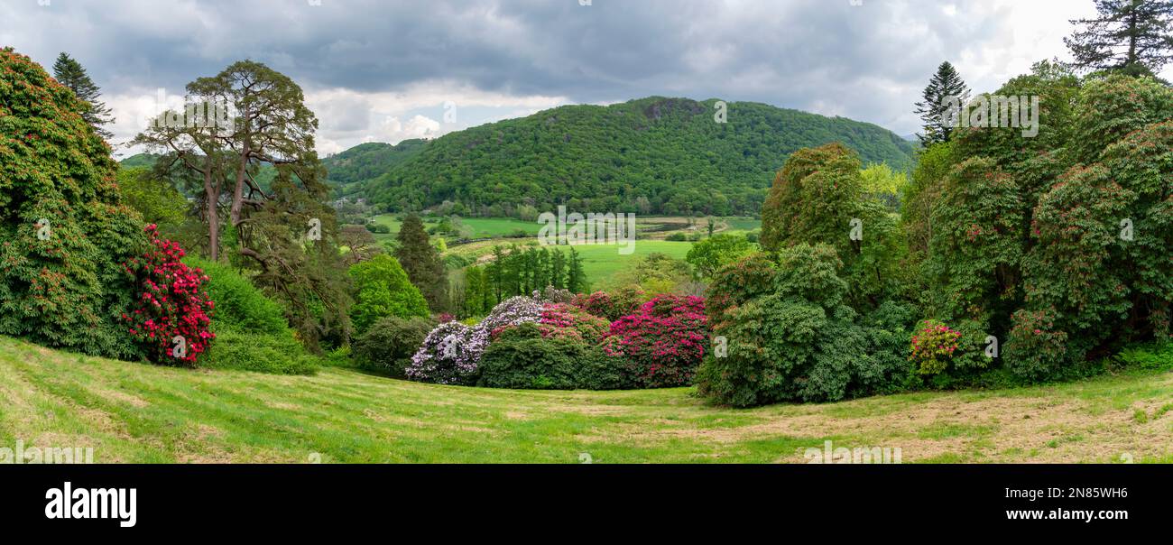 Spring day at Plas Tan-y-Bwlch gardens near Maentwrog, Gwynedd ...