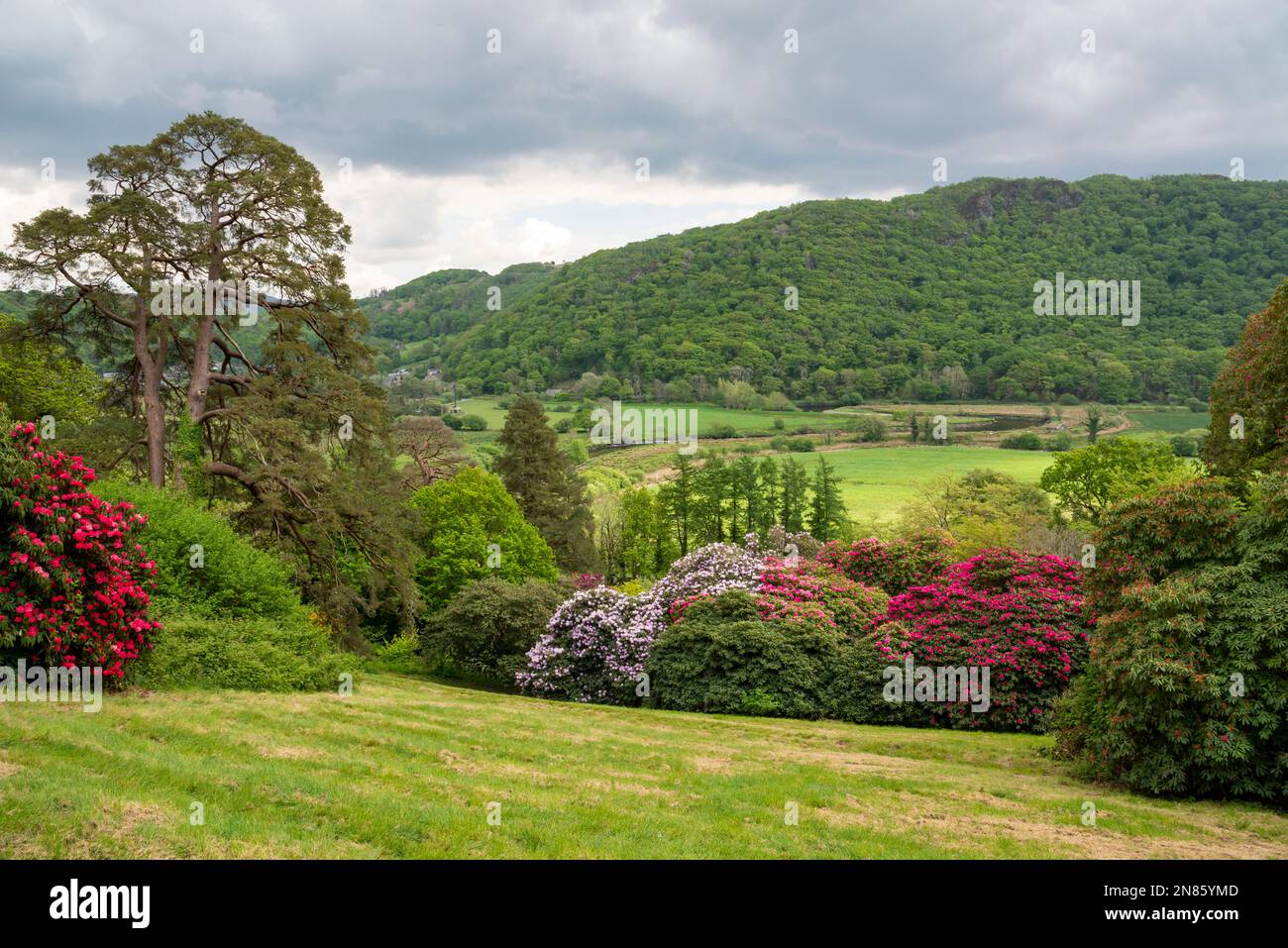 Spring day at Plas Tan-y-Bwlch gardens near Maentwrog, Gwynedd ...