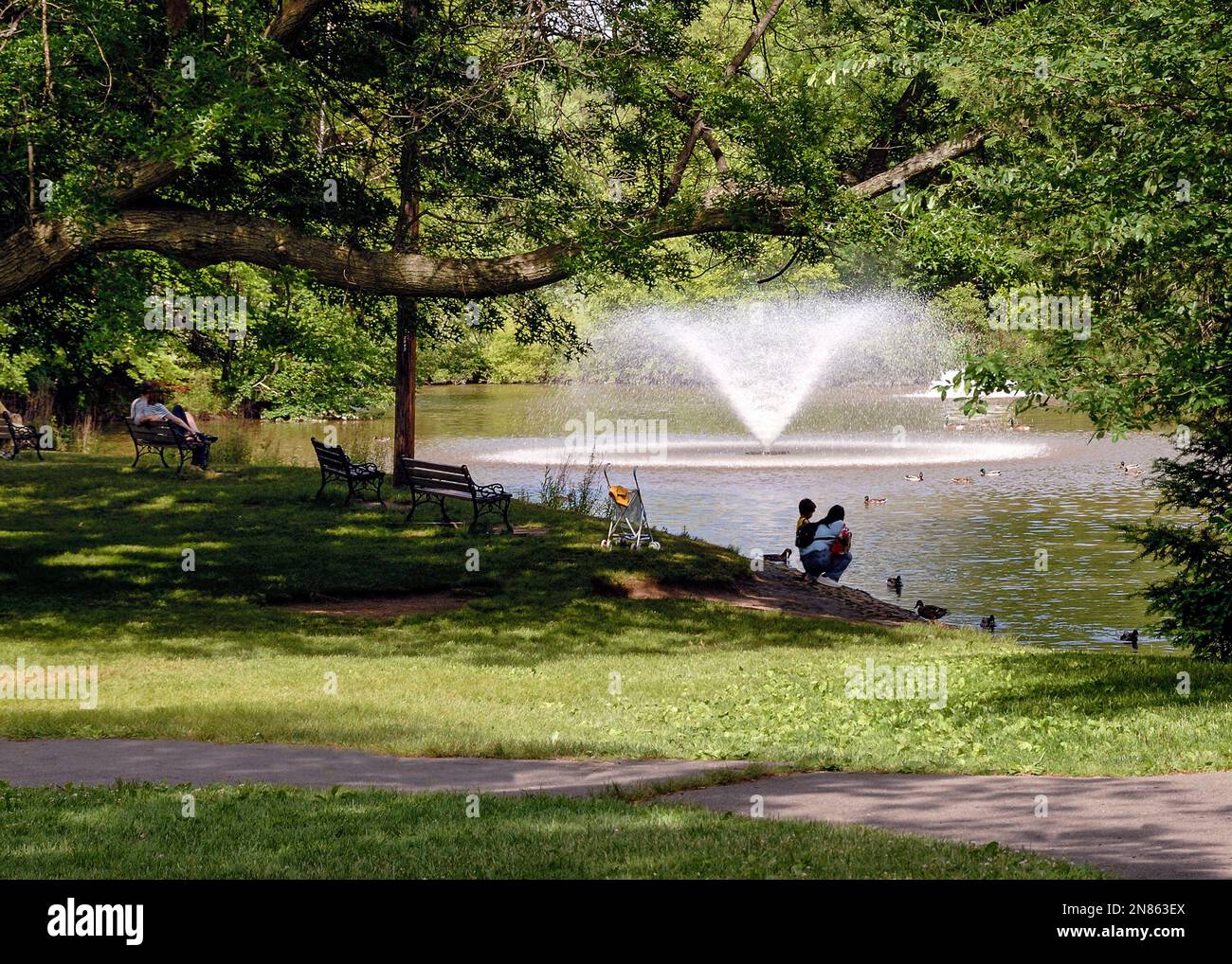 Park of a pond hi-res stock photography and images - Alamy