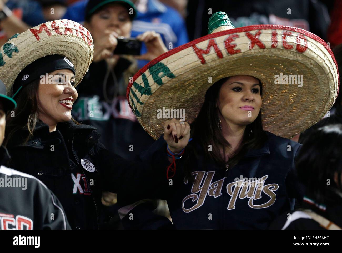 Mexico's fans cheer for their team during the game against the ...
