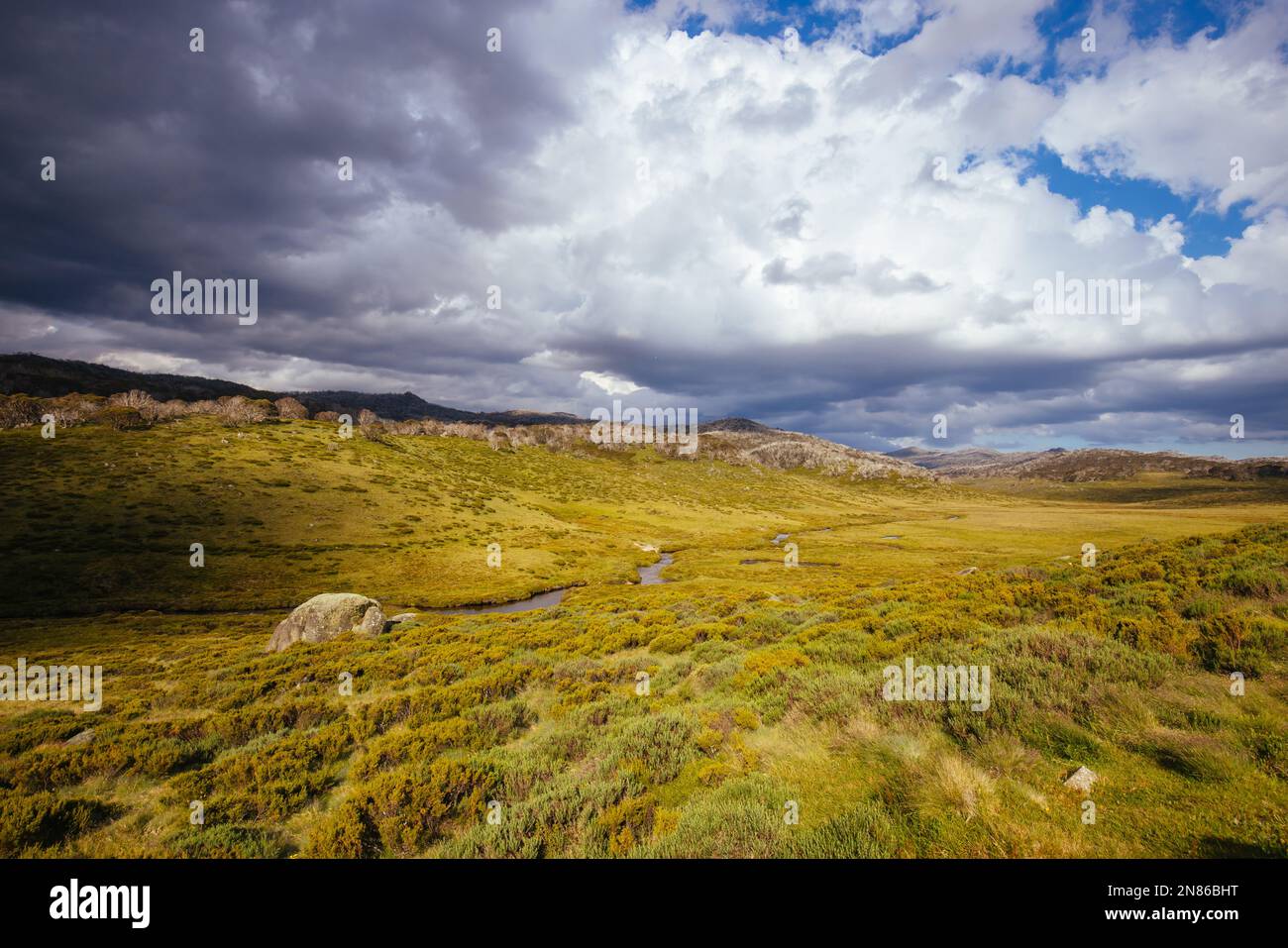A landscape view in the late afternoon on the Cascade Hut Trail near ...