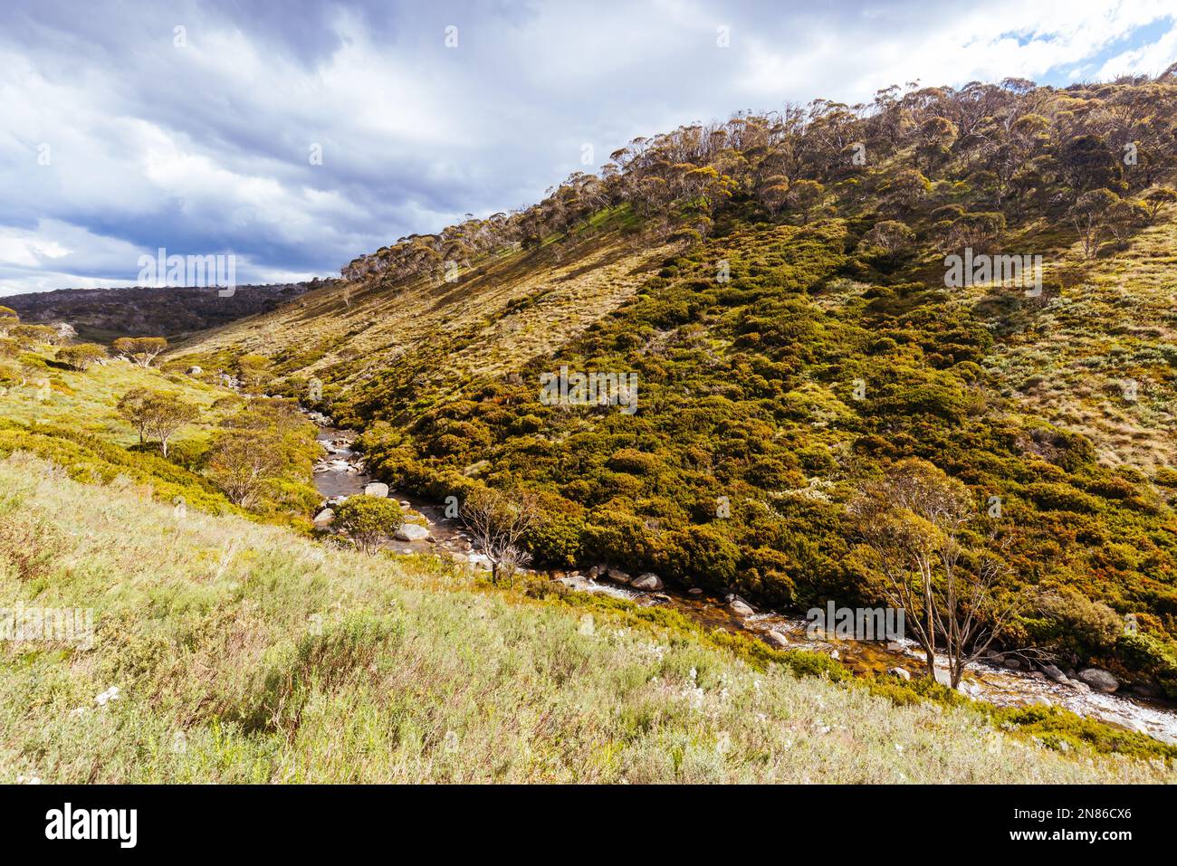 A landscape view in the late afternoon on the Cascade Hut Trail near ...