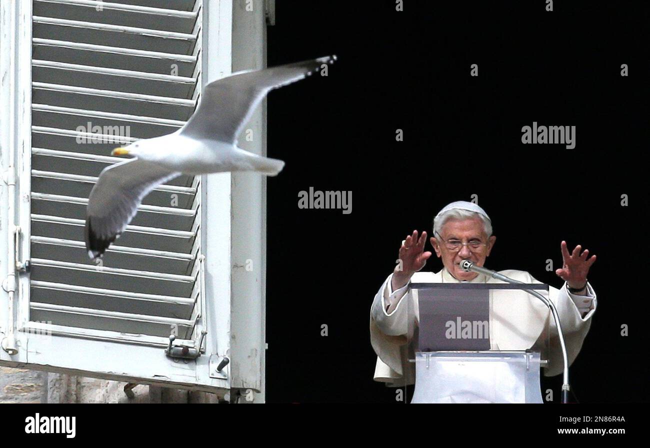A seagull flies past Pope Benedict XVI delivering his blessing during ...