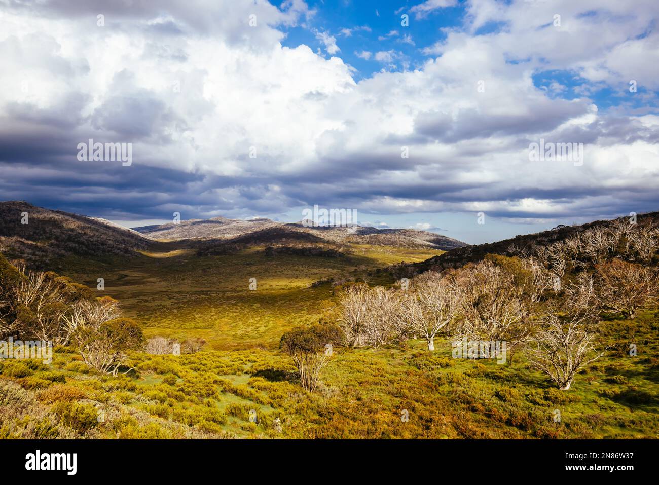 A landscape view in the late afternoon on the Cascade Hut Trail near ...