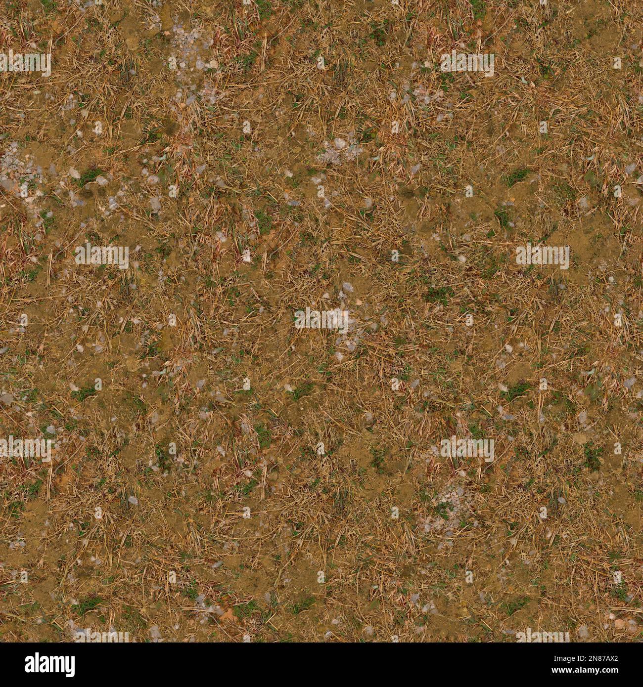 Texture ground, seamless texture ground Stock Photo - Alamy