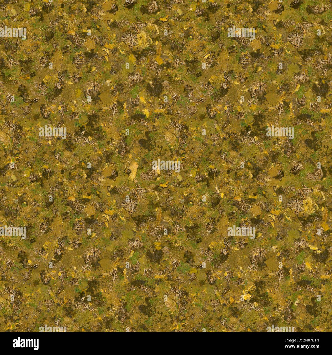 Texture ground, seamless texture ground Stock Photo - Alamy