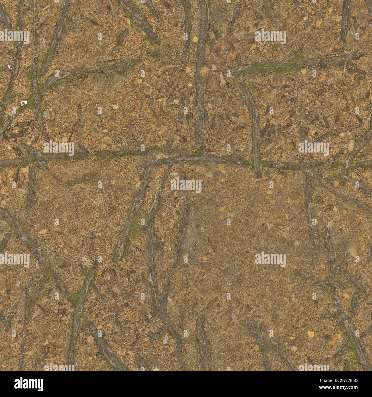 Texture ground, seamless texture ground Stock Photo - Alamy
