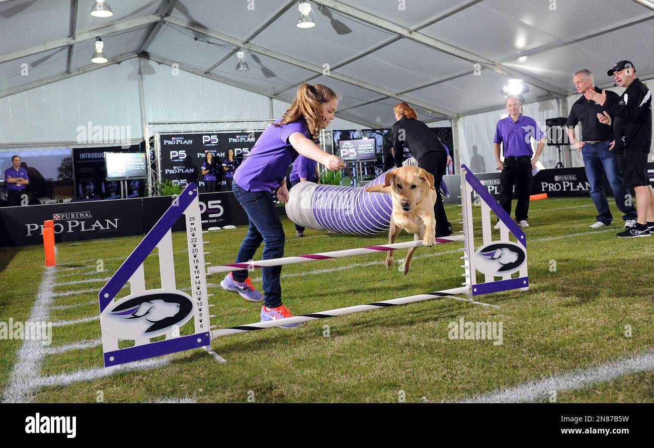 Eleven-year-old Evan Johnston, daughter of football legend Daryl "Moose ...