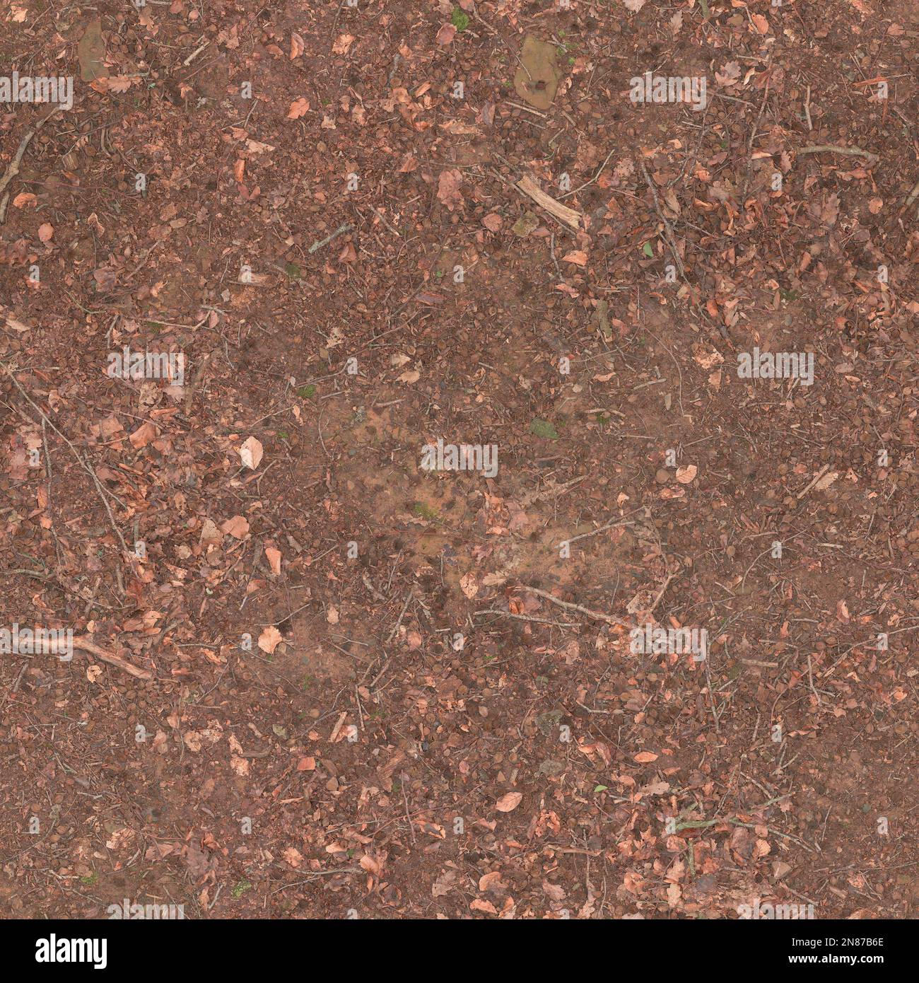 Texture ground, seamless texture ground Stock Photo - Alamy