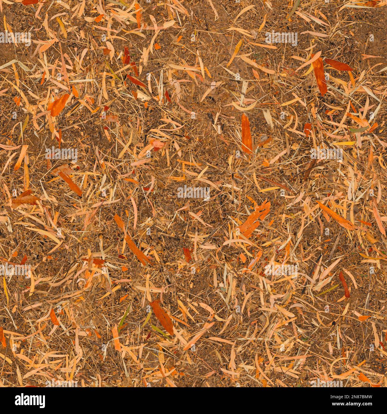 Texture ground, seamless texture ground Stock Photo - Alamy
