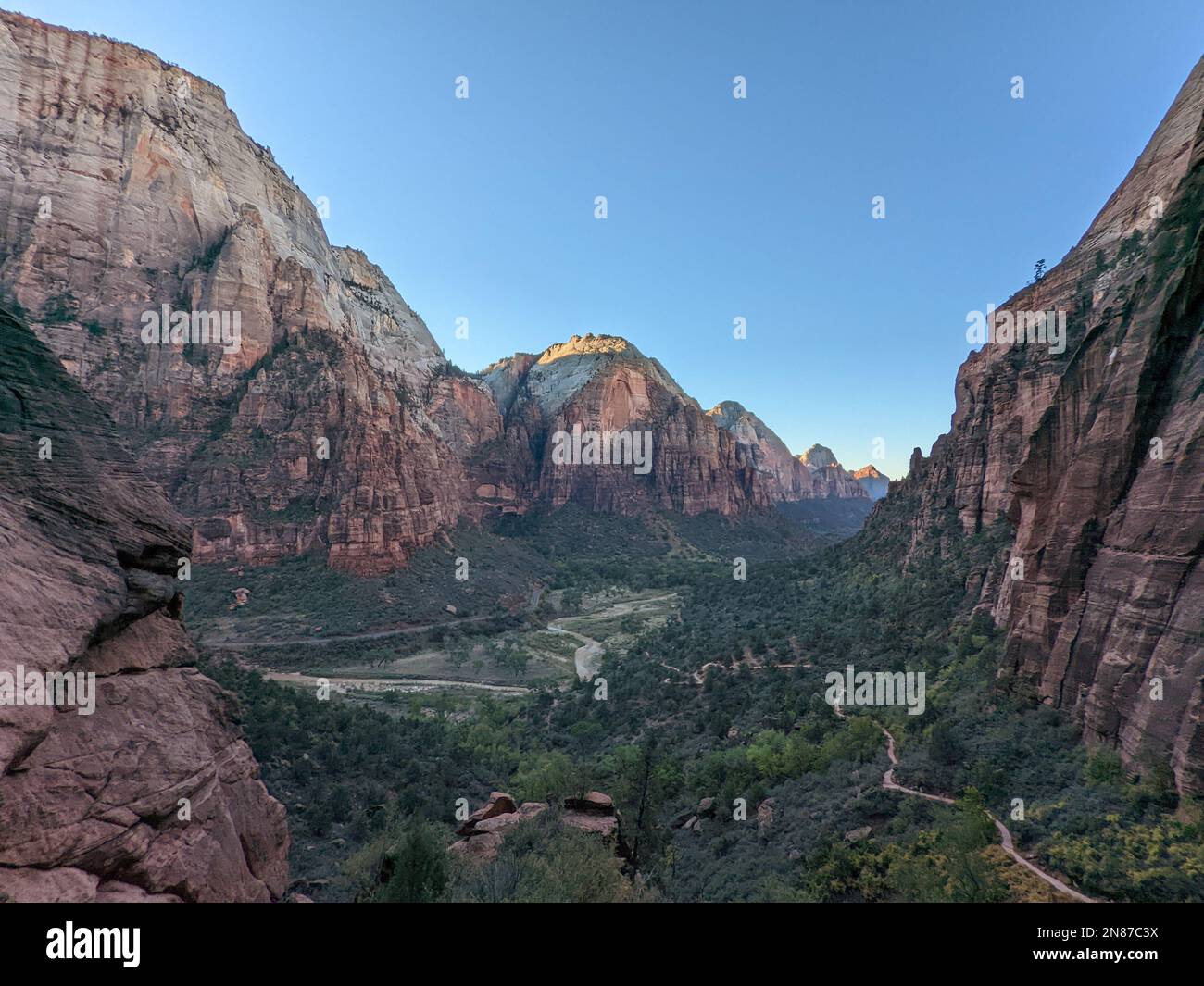 The beautiful valley with green vegetation and cliffs. Zion National ...