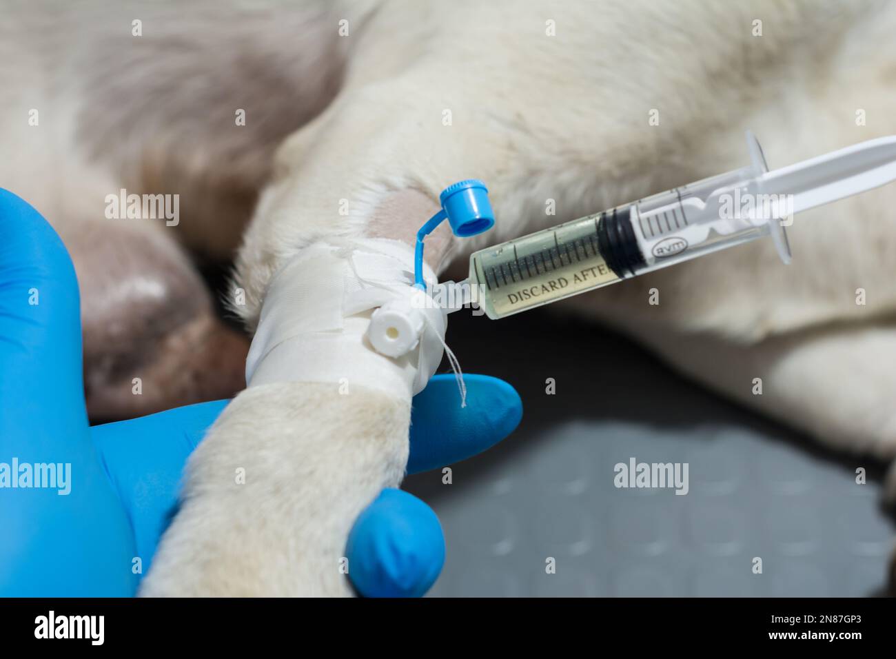 Iv treatment hi-res stock photography and images - Alamy