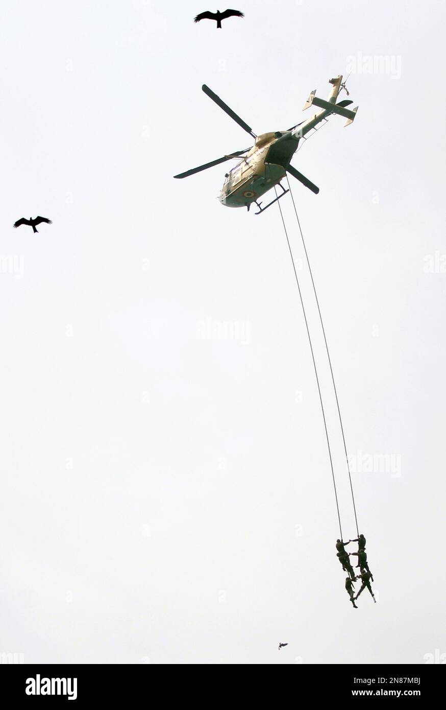 Birds fly past as National Cadet Corps (NCC) cadets suspended from an ...