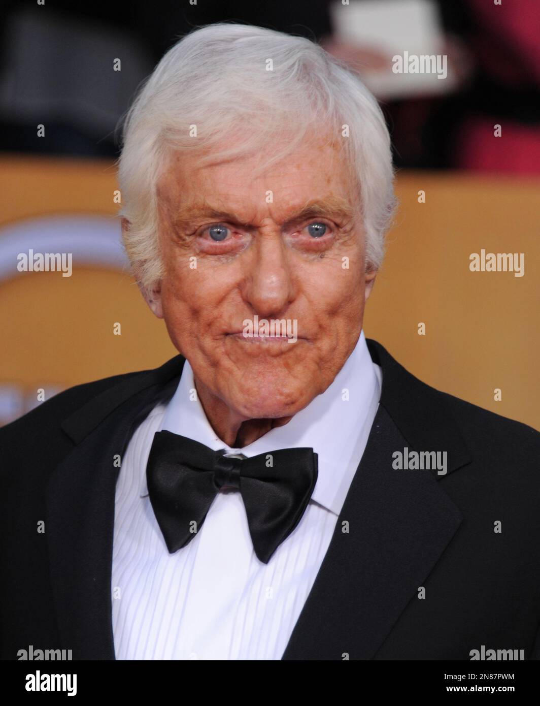 Actor Dick Van Dyke arrives at the 19th Annual Screen Actors Guild ...