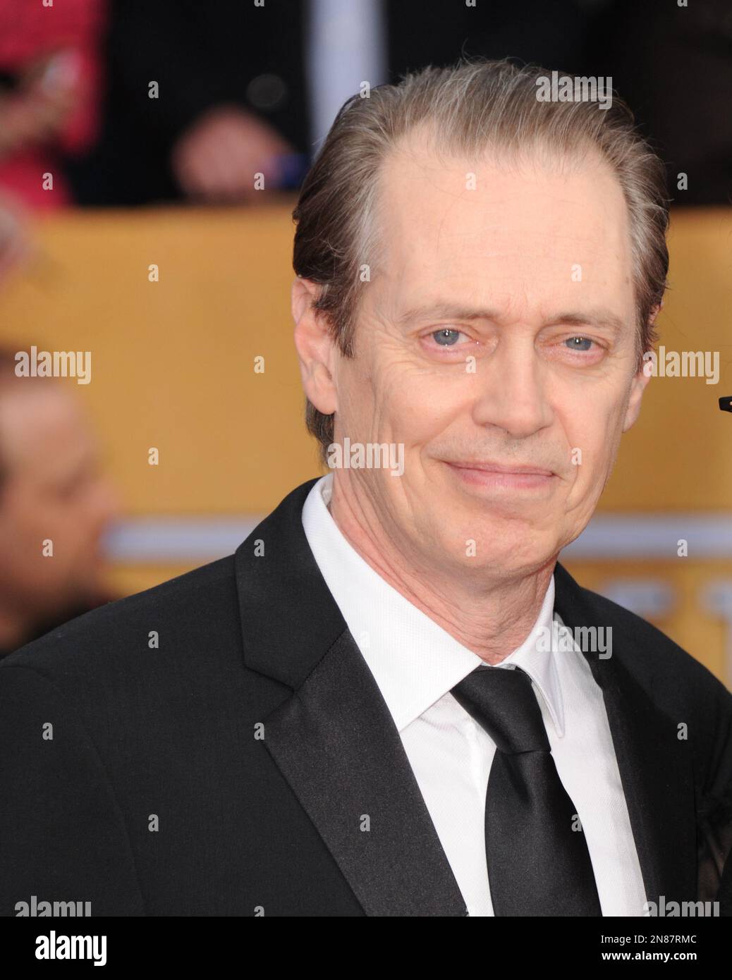 Actor Steve Buscemi arrives at the 19th Annual Screen Actors Guild ...