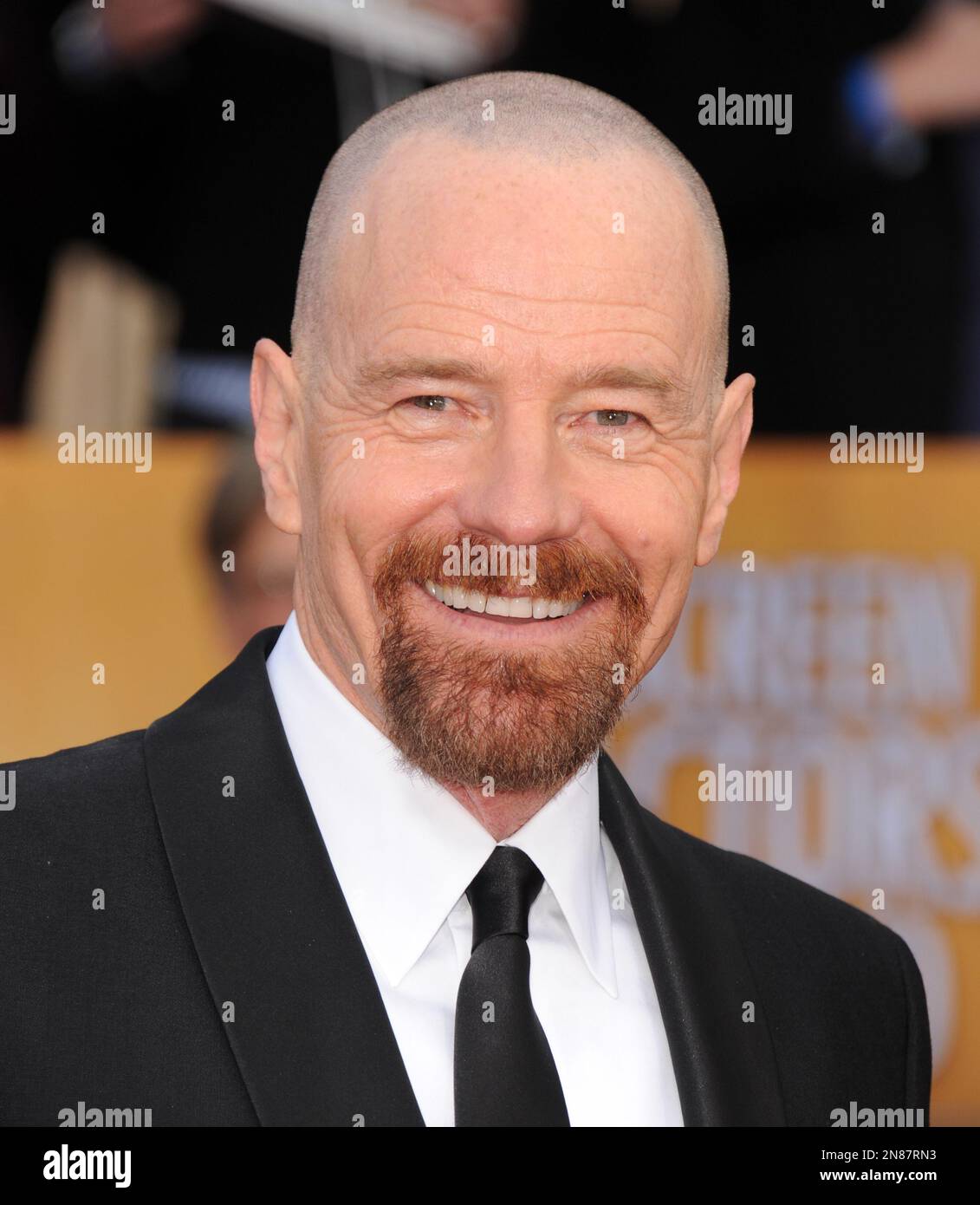 Actor Bryan Cranston arrives at the 19th Annual Screen Actors Guild ...