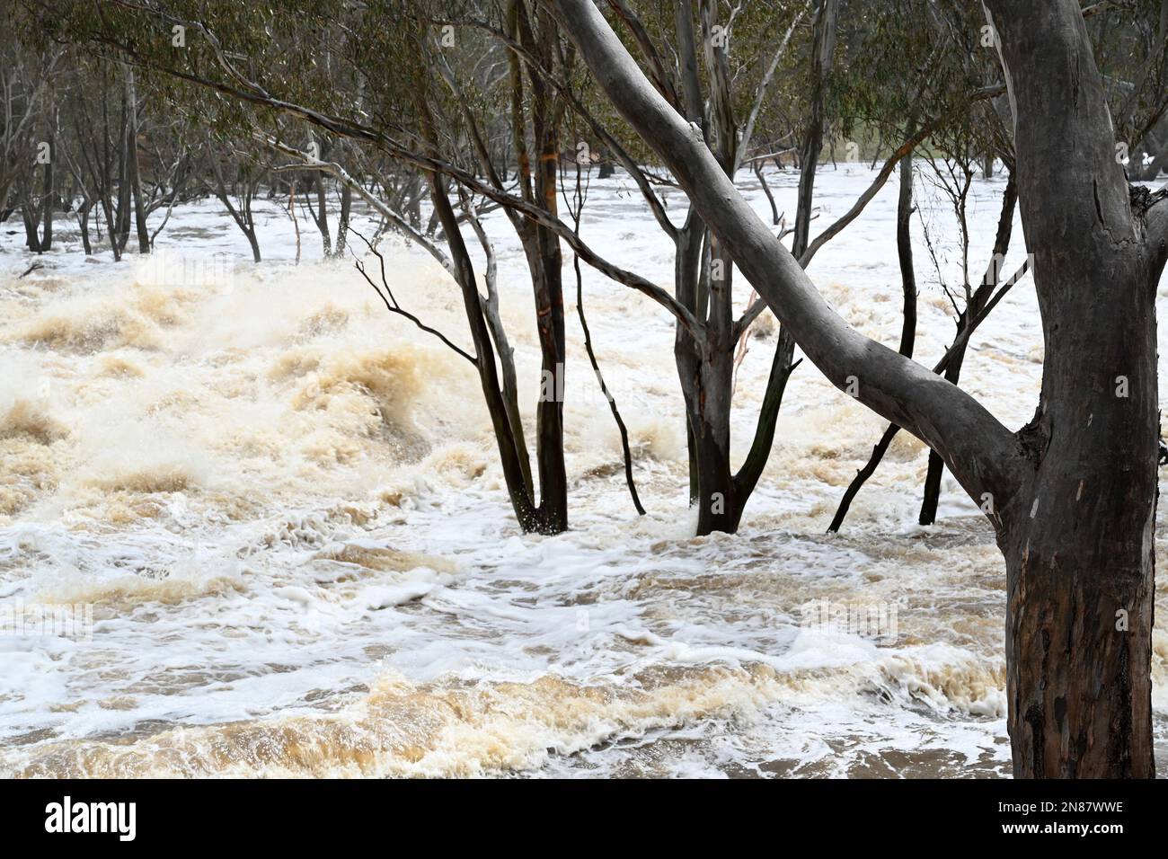 Indian ocean tsunami 2004 wave hi-res stock photography and images - Alamy