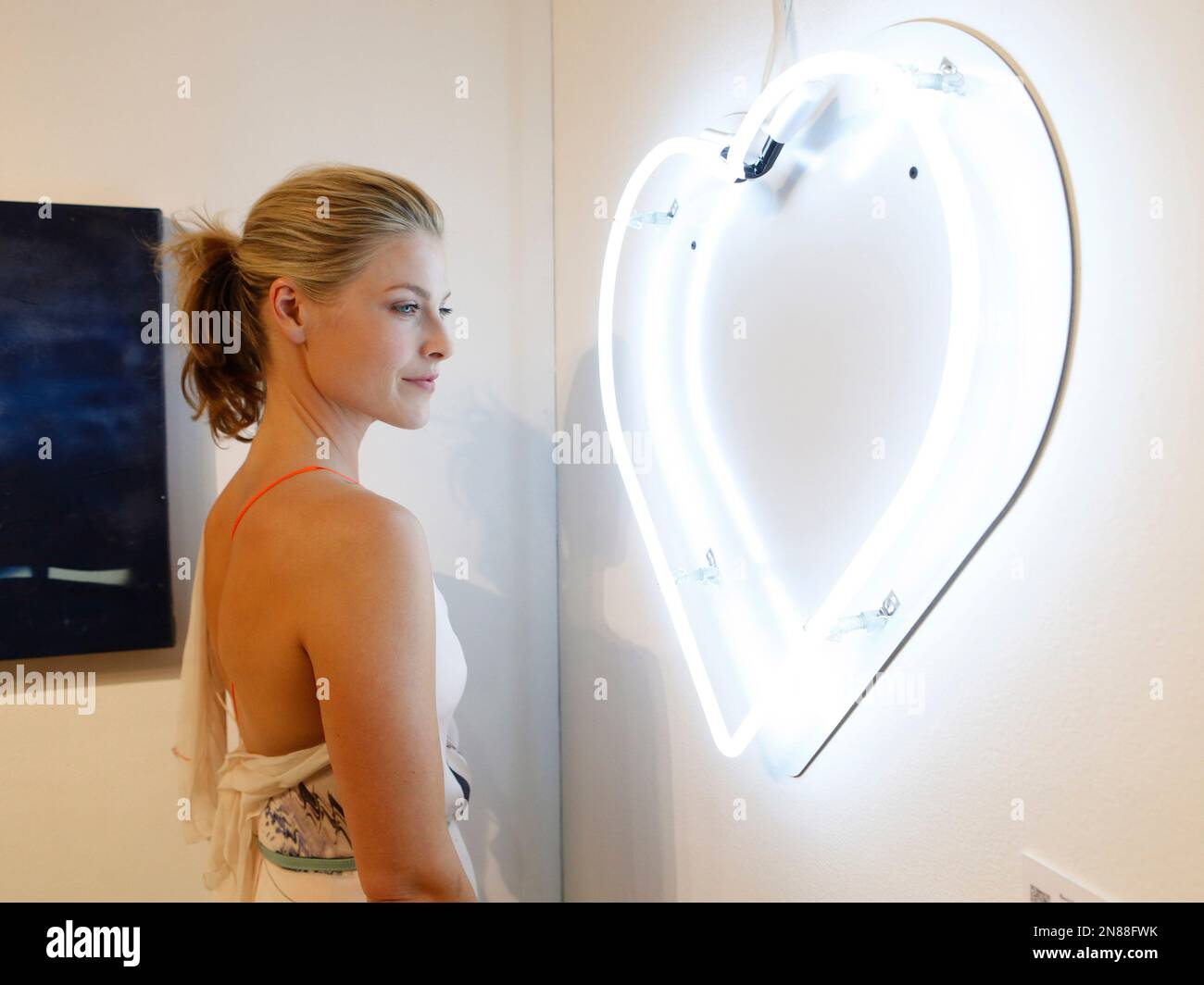 Ali Larter attends the LA Art Show hosted by Ali Larter and Hayes ...