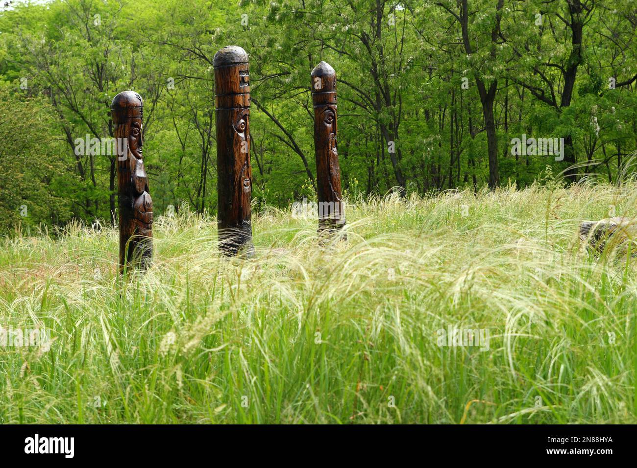 Sculptures of ancient pagan slavic gods carved of wood on the Khortitsa ...