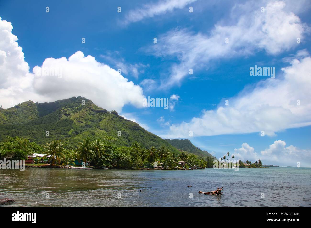 Tropical coast of Moorea with turquoise water, beautiful islands ...