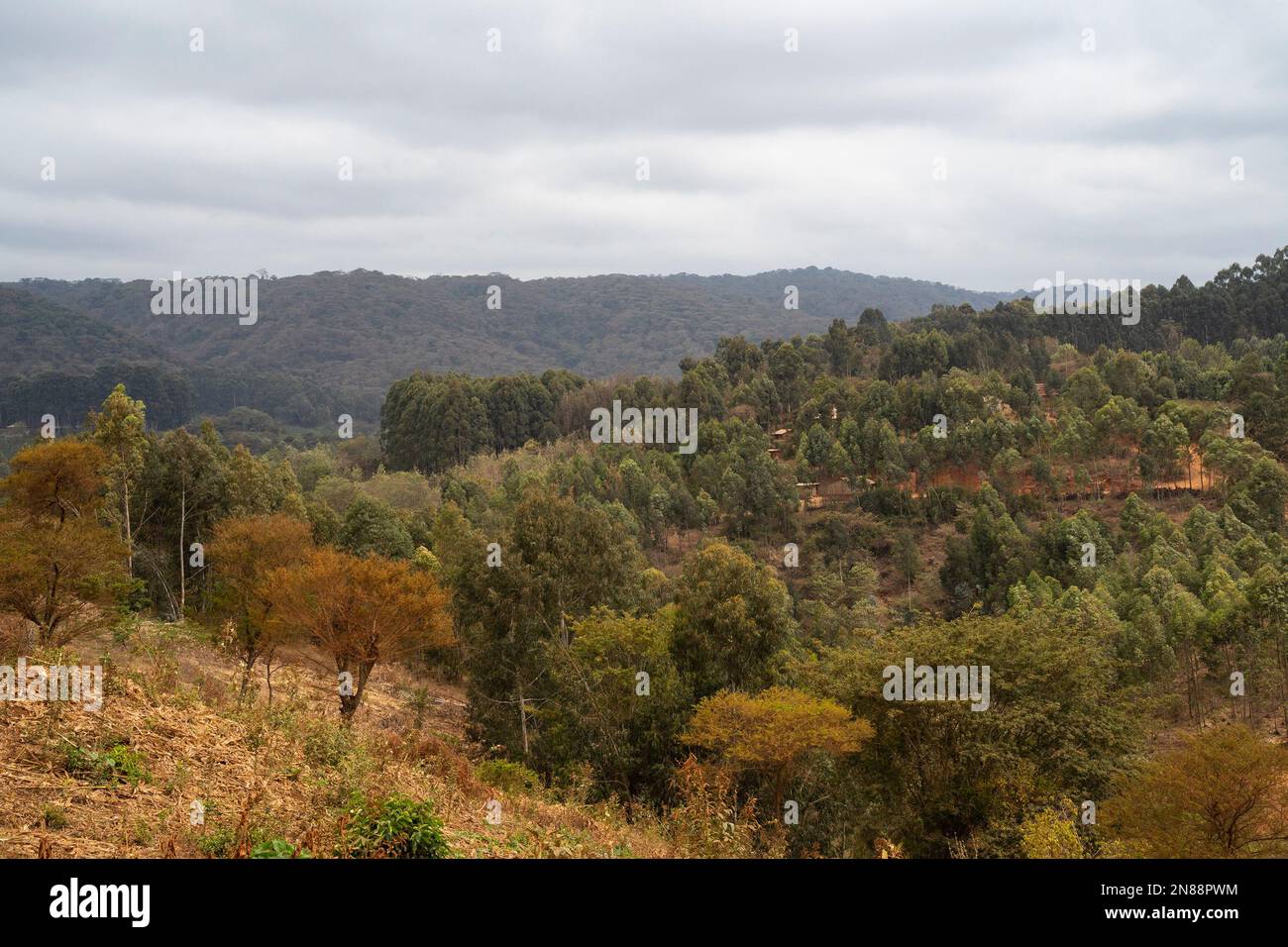 A landscape of jungle covered mountains in Tanzania, on a hazy ...