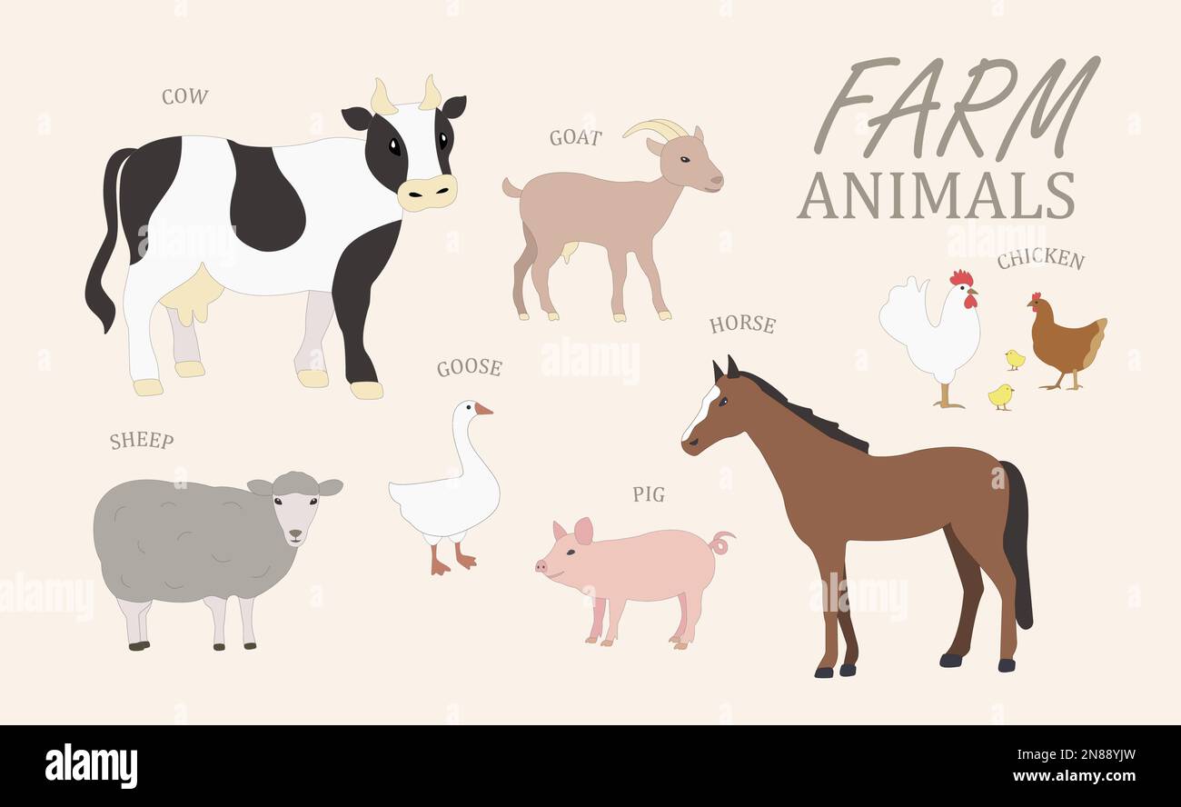 Farm animals, cow, pig, horse, sheep. goat, chicken, goose, poultry ...