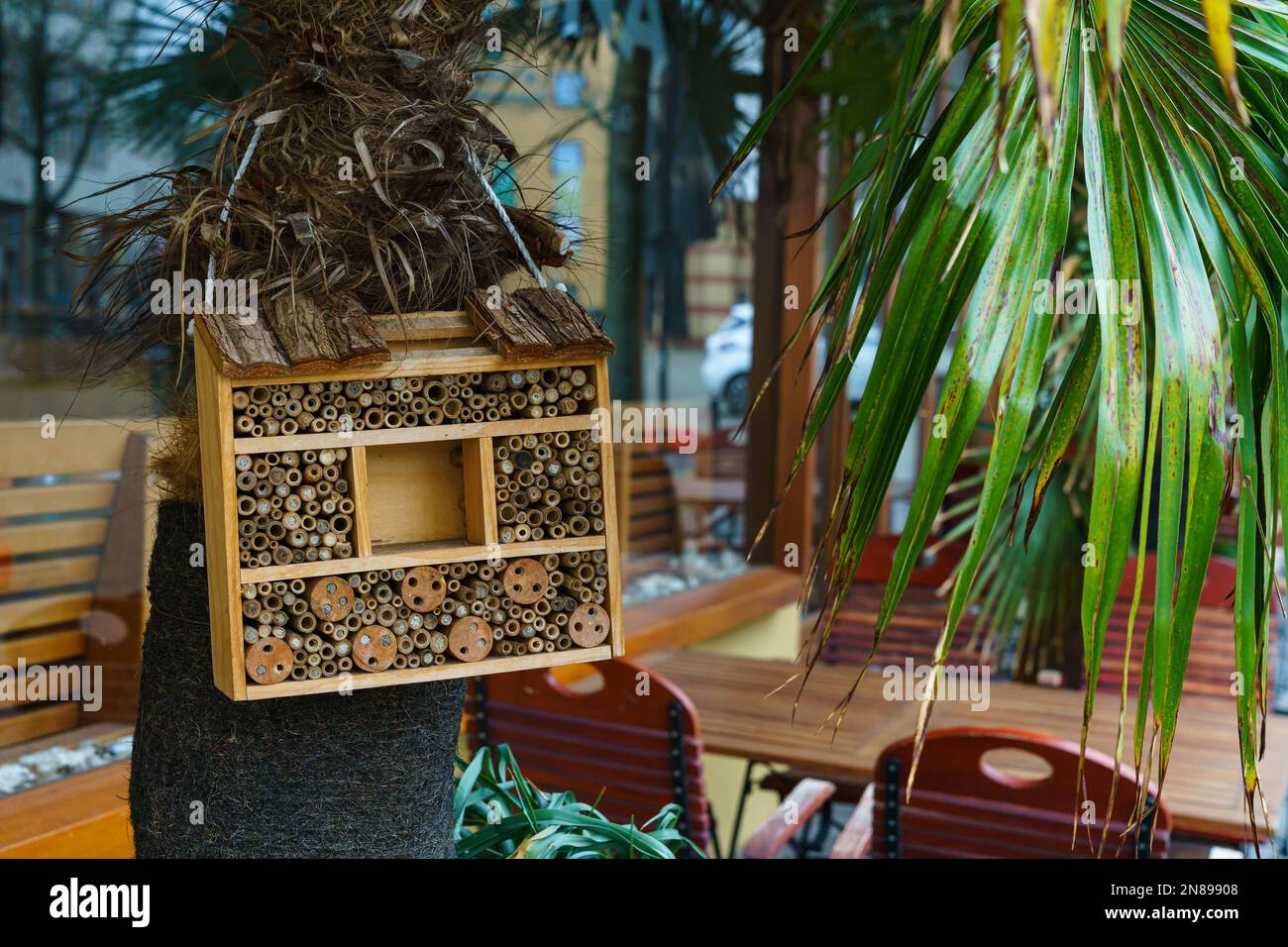 Wooden house for insects installed in a roadside cafe on palm. Close-up ...