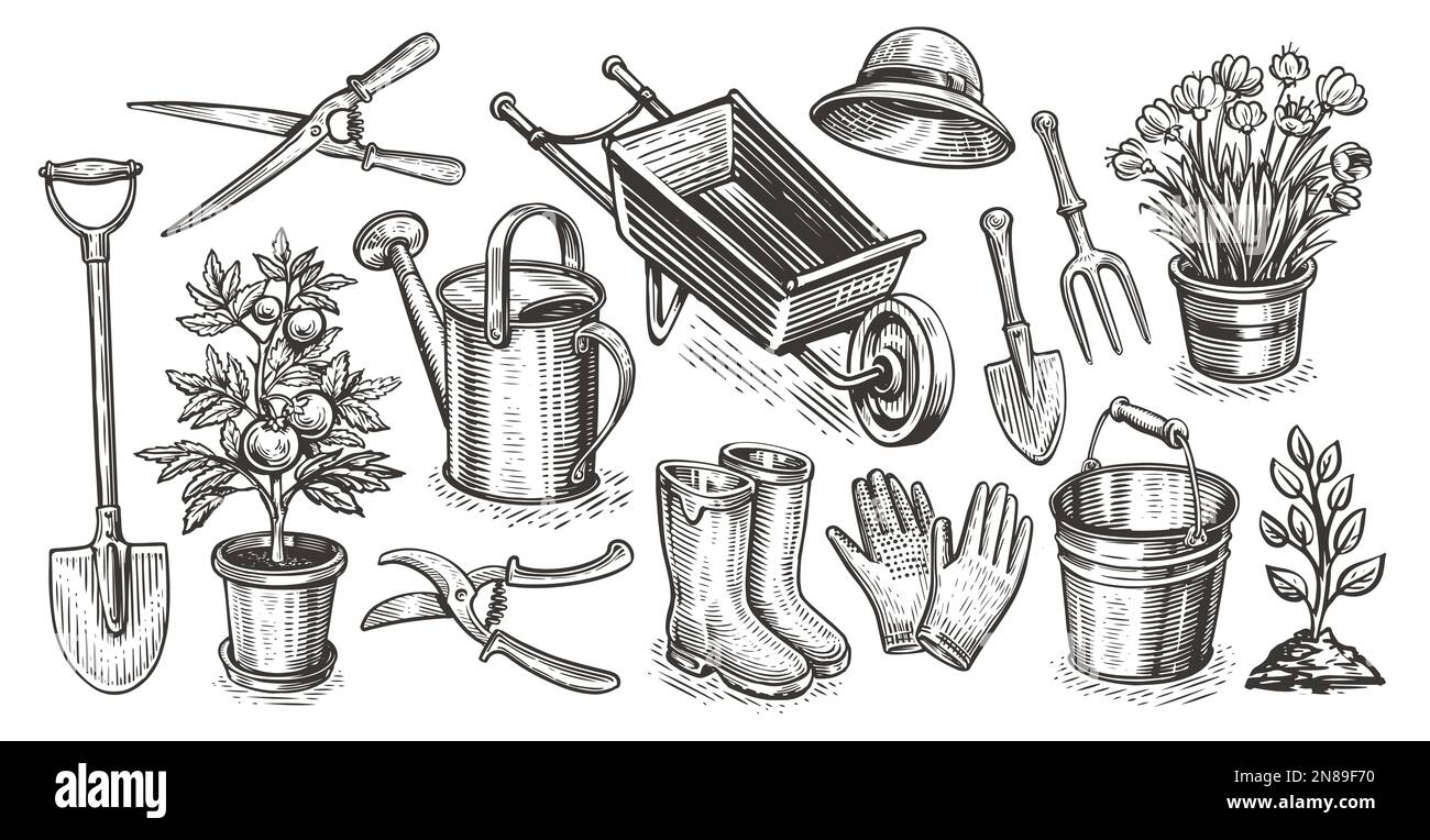 Garden, farm concept. Gardening set of items sketch. Agriculture, farming objects vintage ...