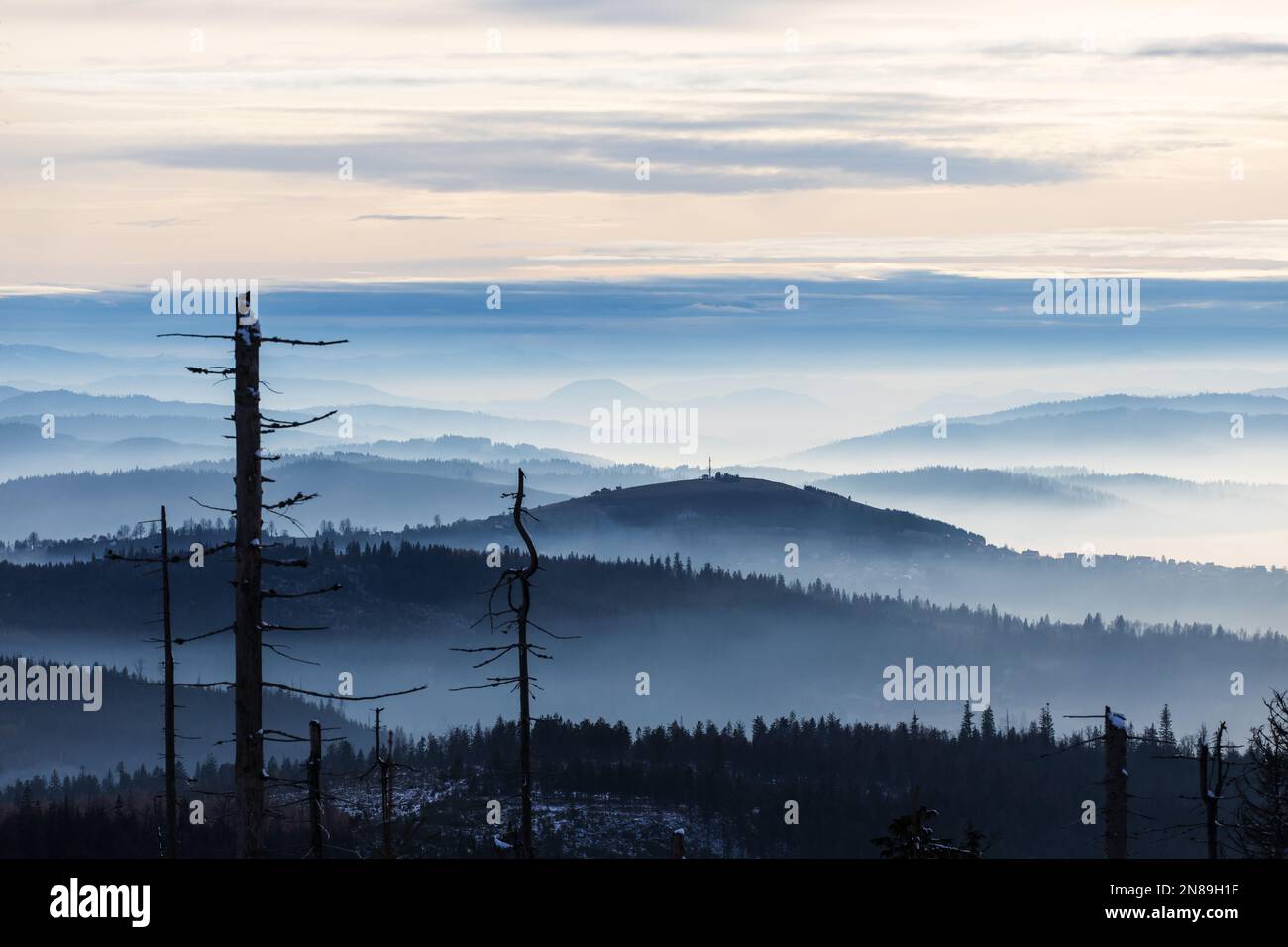 Beautiful, dreamy winter landscape with misty hills and valleys Stock ...