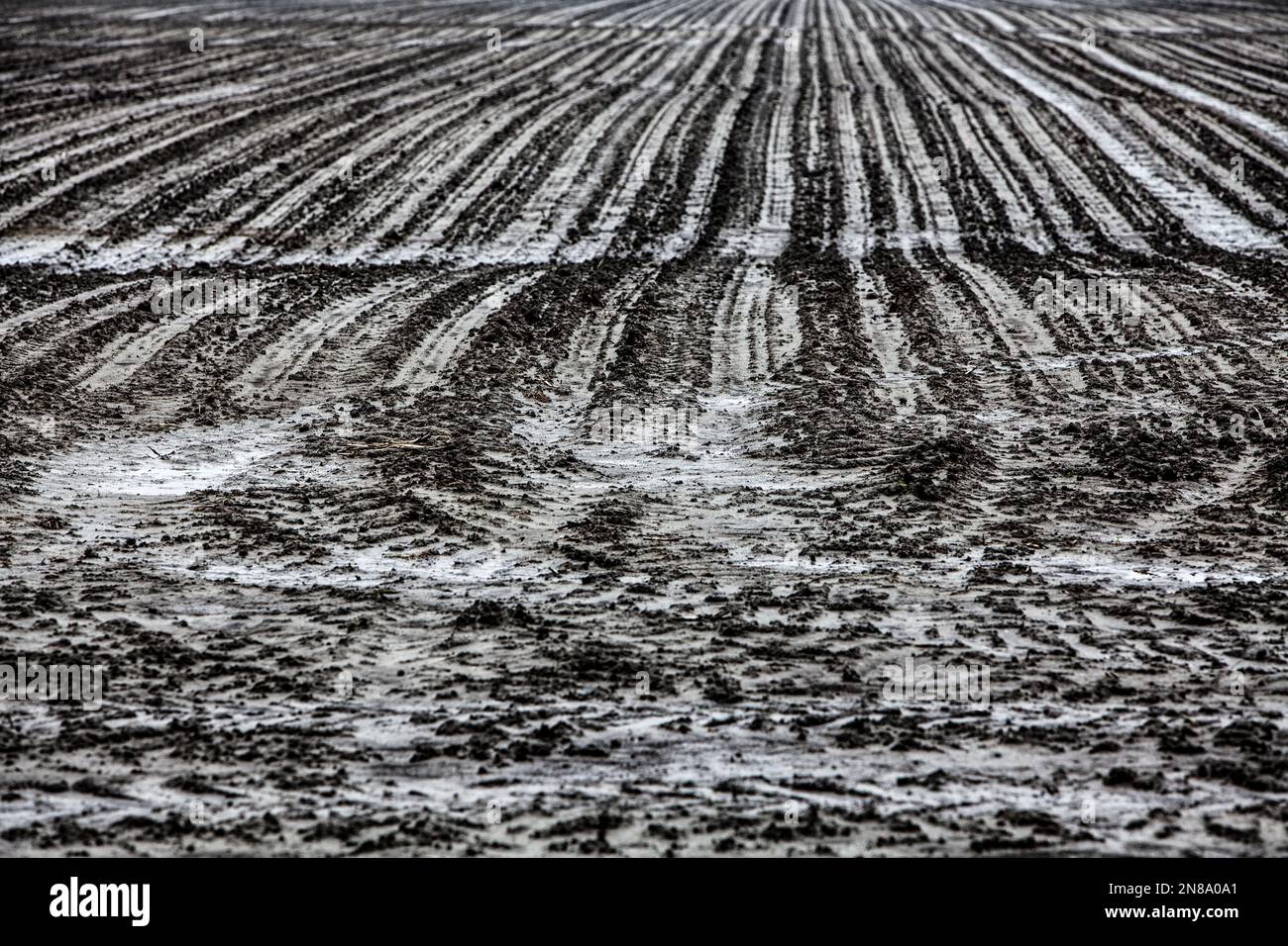 Agricultural tractor sowing cultivating field hi-res stock photography ...