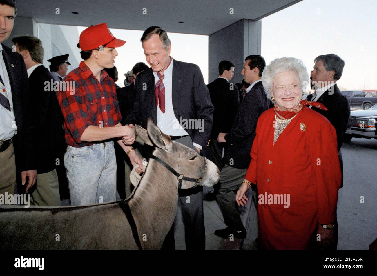 First lady Barbara Bush smiles standing by donkey as President George H ...