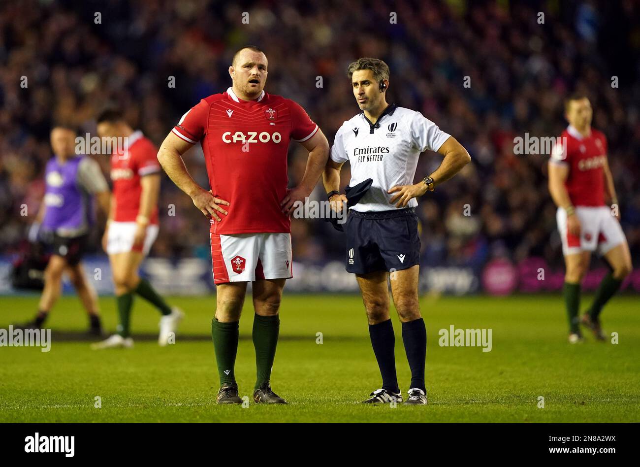 Ken scotland rugby hi-res stock photography and images - Alamy