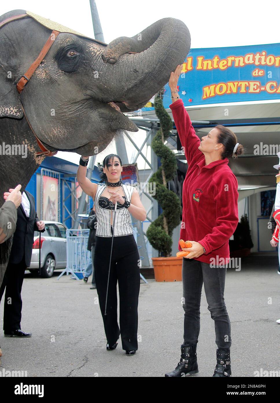 Princess Stephanie of Monaco poses with an elephant during the ...
