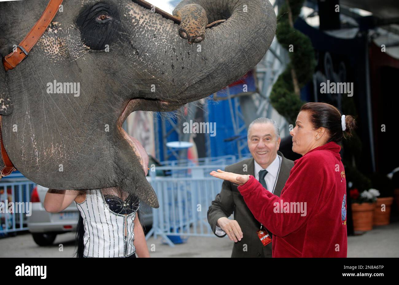 Princess Stephanie of Monaco poses with an elephant during the ...
