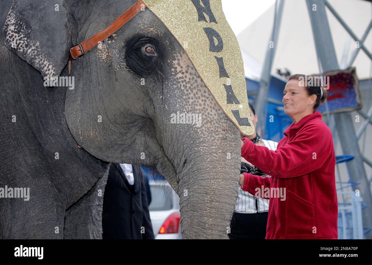 Princess Stephanie of Monaco poses with an elephant during the ...