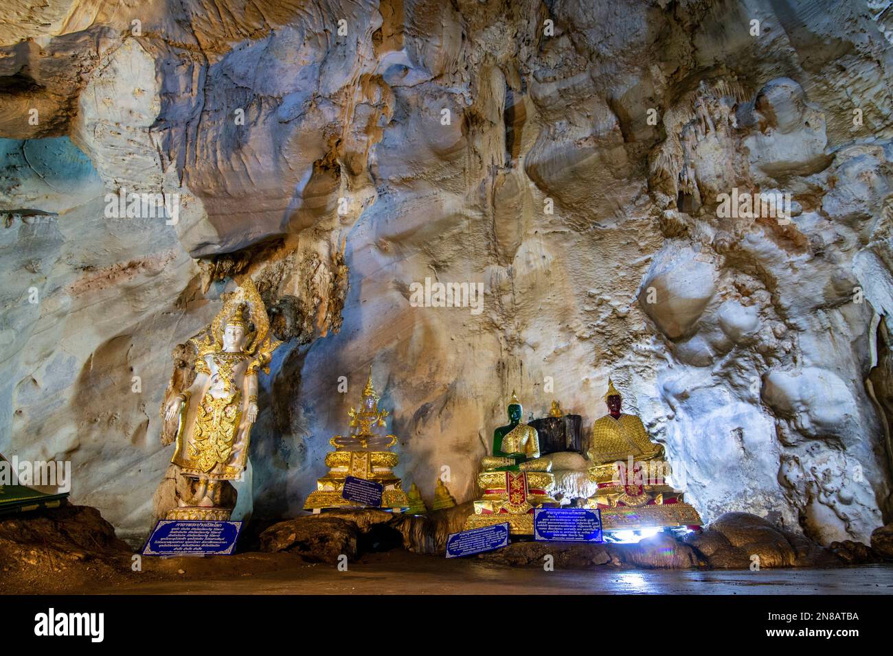 the Tham Khao Ma Rong Cave near the Town of Bang saphan in the Province ...