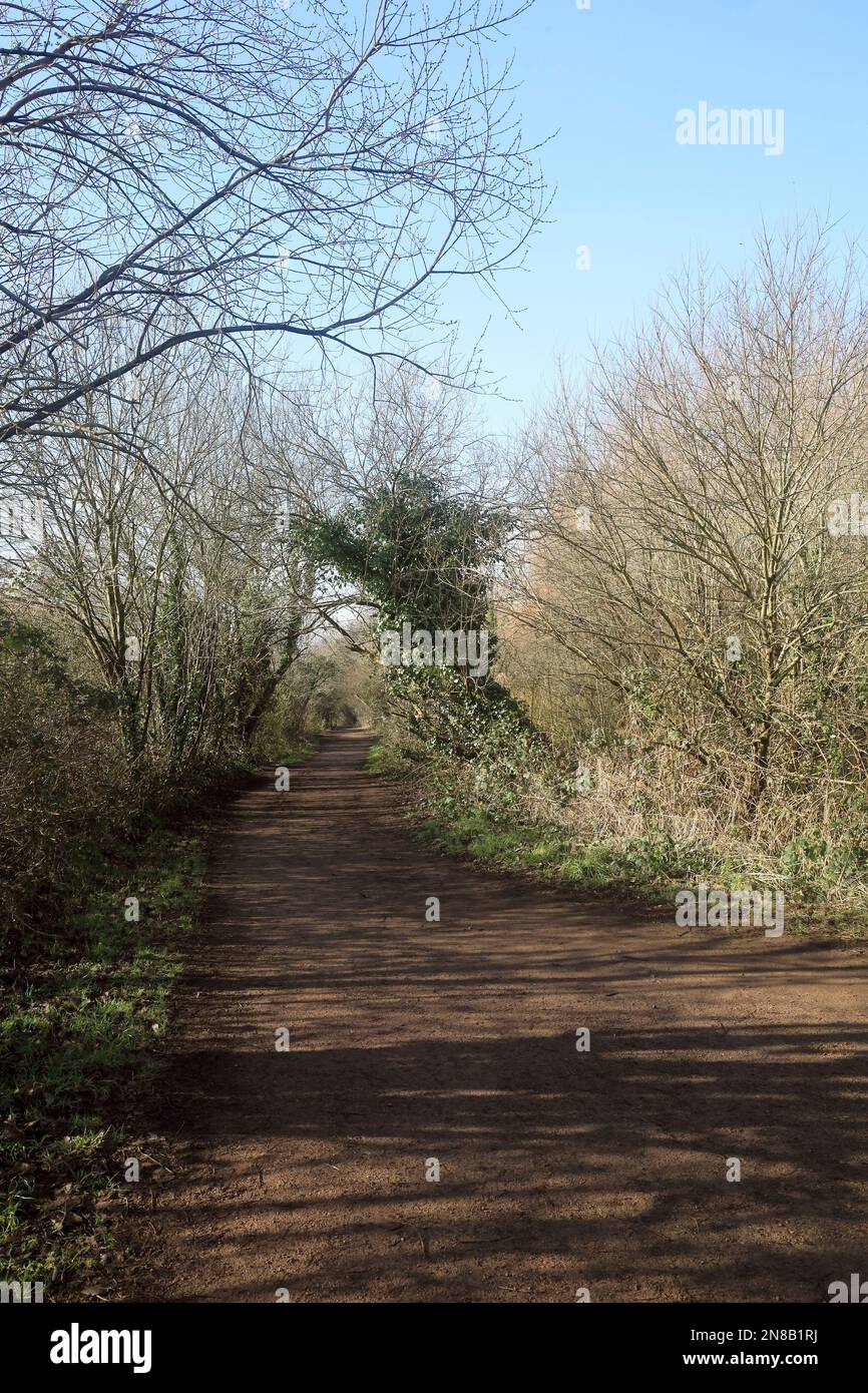 Ely Trail, Leckwith, Cardiff. Taken February 2023. winter.cym Stock ...