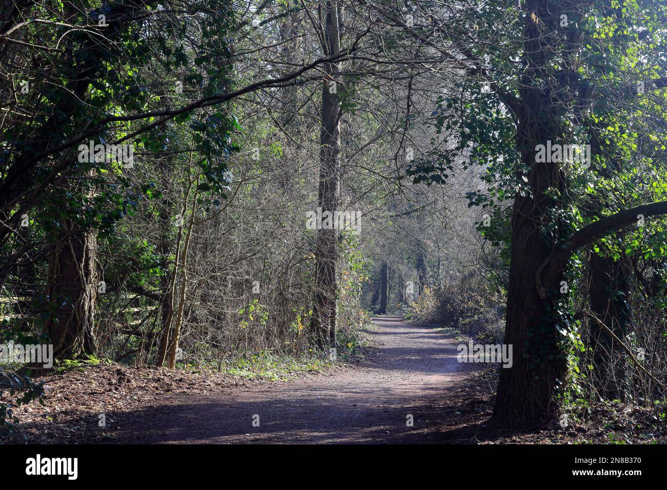 Ely Trail, Leckwith, Cardiff. Taken February 2023. winter.cym Stock ...