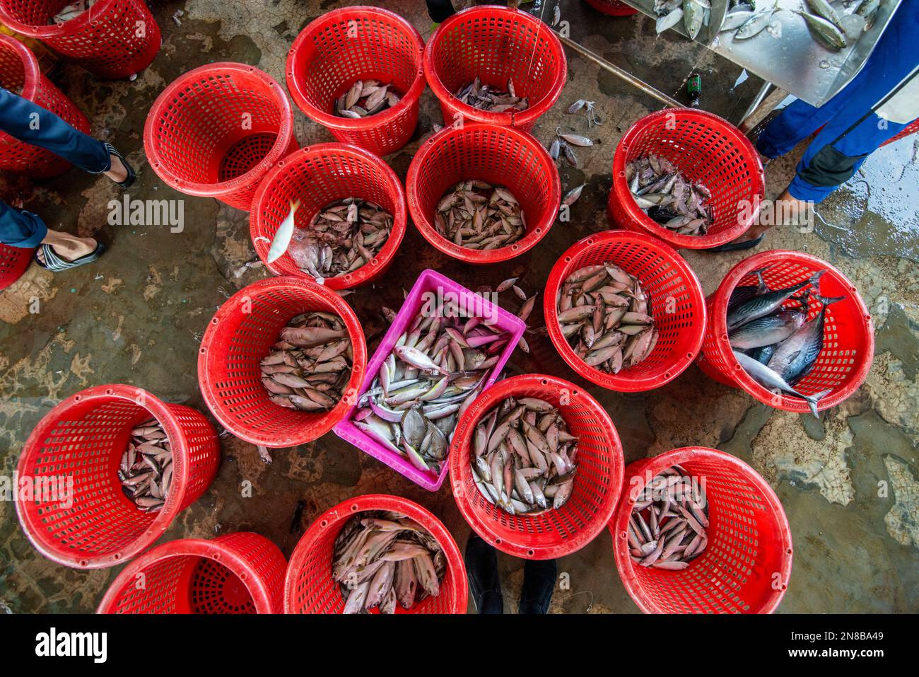The Fish Market and Harbour at the Pak Nam Pran Fishing Village near ...
