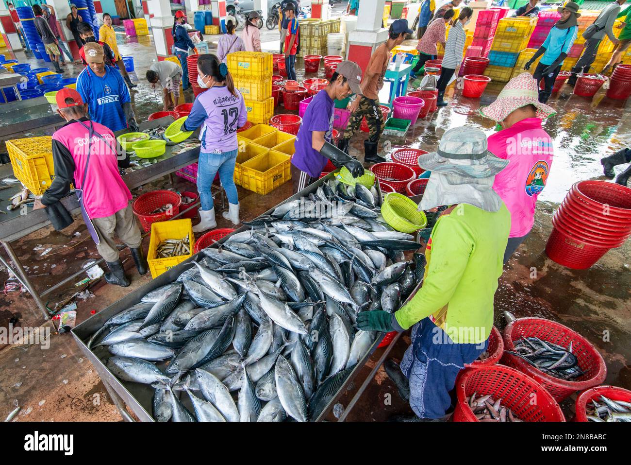 The Fish Market and Harbour at the Pak Nam Pran Fishing Village near ...
