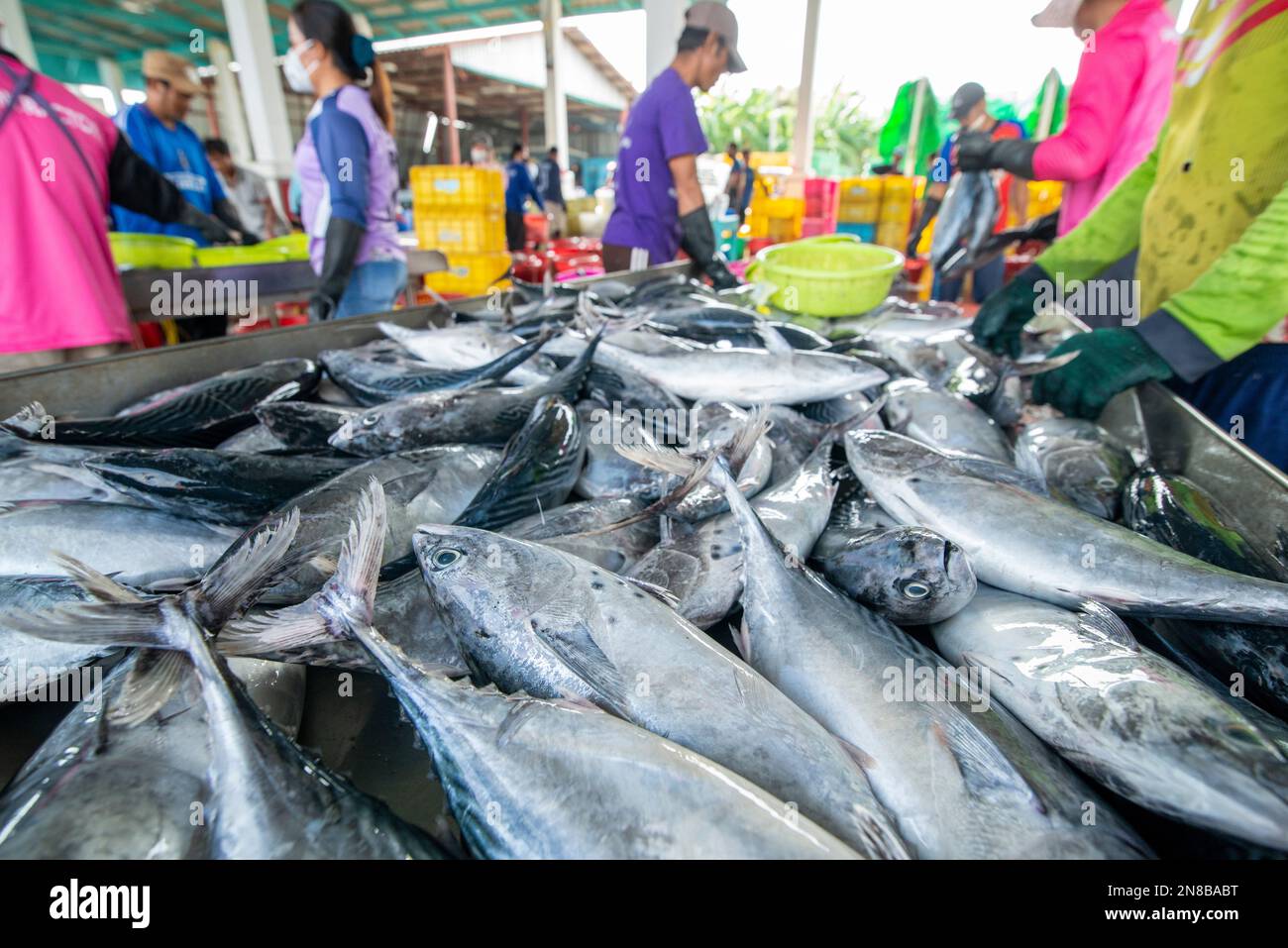 The Fish Market and Harbour at the Pak Nam Pran Fishing Village near ...
