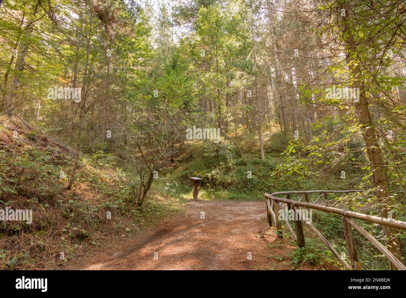 Hiking trail in the Sila park, Calabria Stock Photo - Alamy