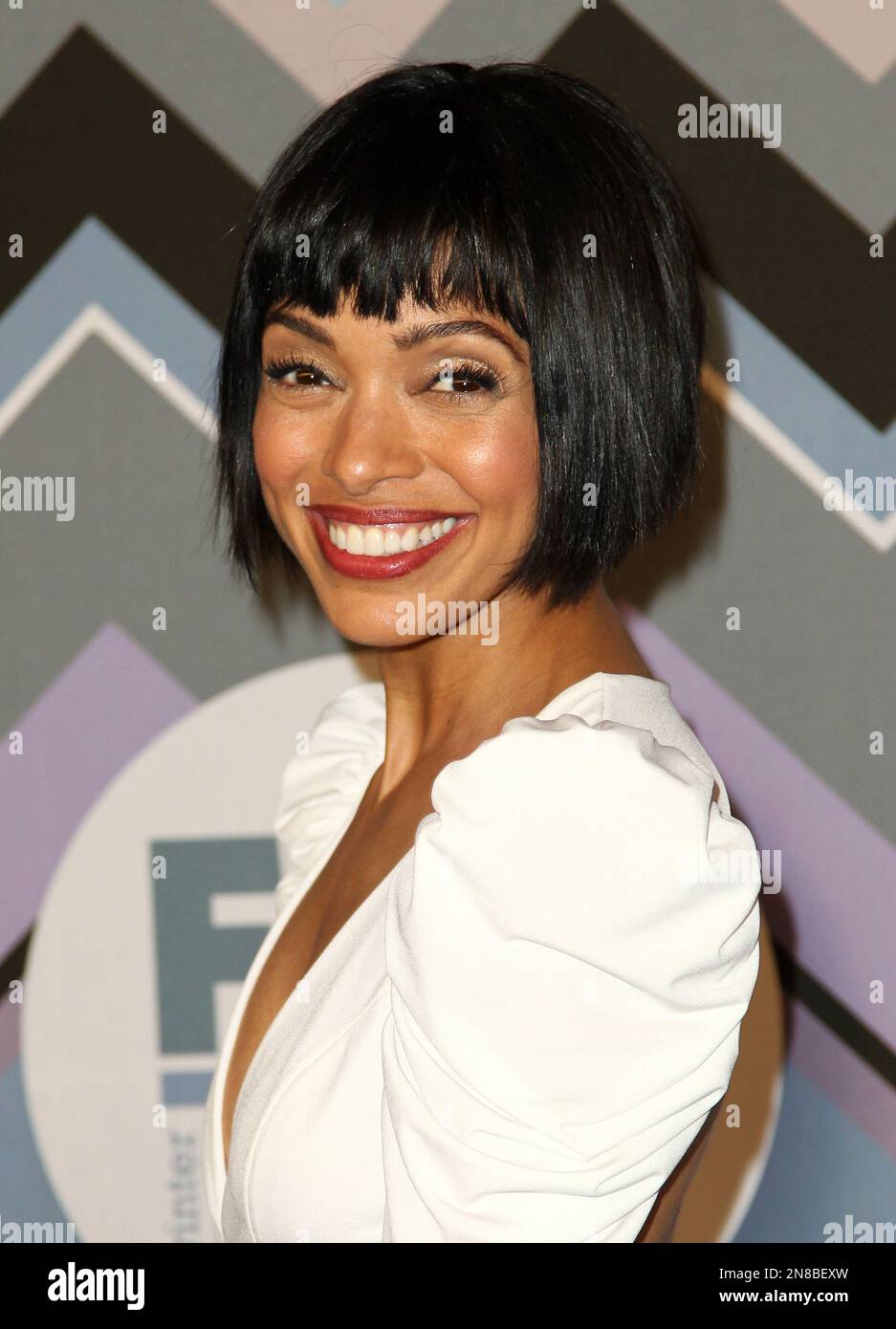 Tamara Taylor arrives at the Winter TCA Fox All-Star Party at the ...